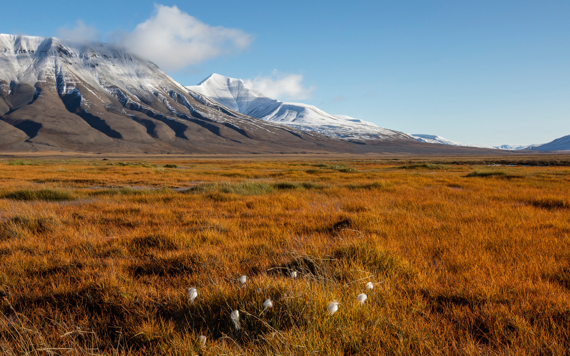 Svalbard – Arctic Adventures